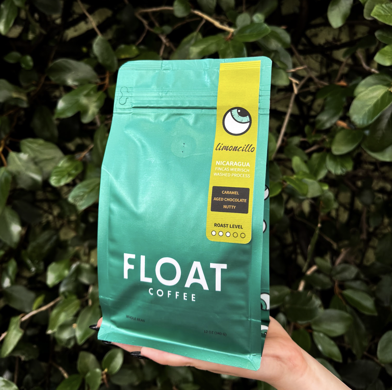 Float Limoncillo | Two Tides Brewing Co.